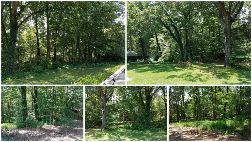 5 Lessons I’m Learning during some Major, Major Yard Reconstruction ...