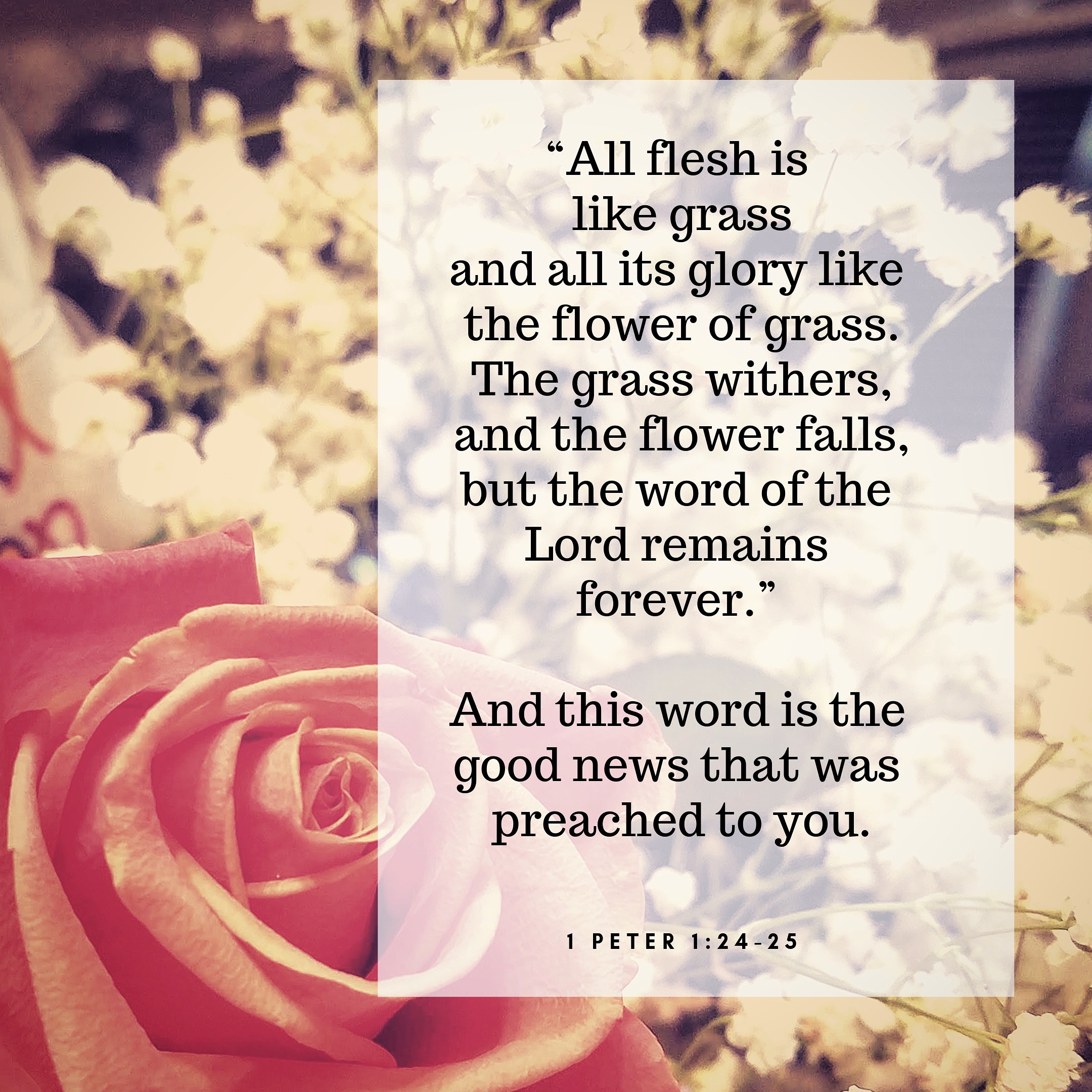 Of things perishable and imperishable – Teach What is Good