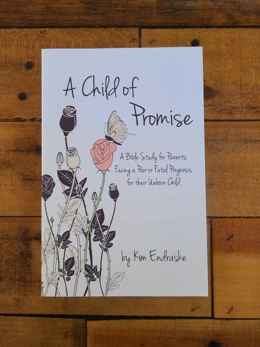 A Child of Promise – Teach What is Good