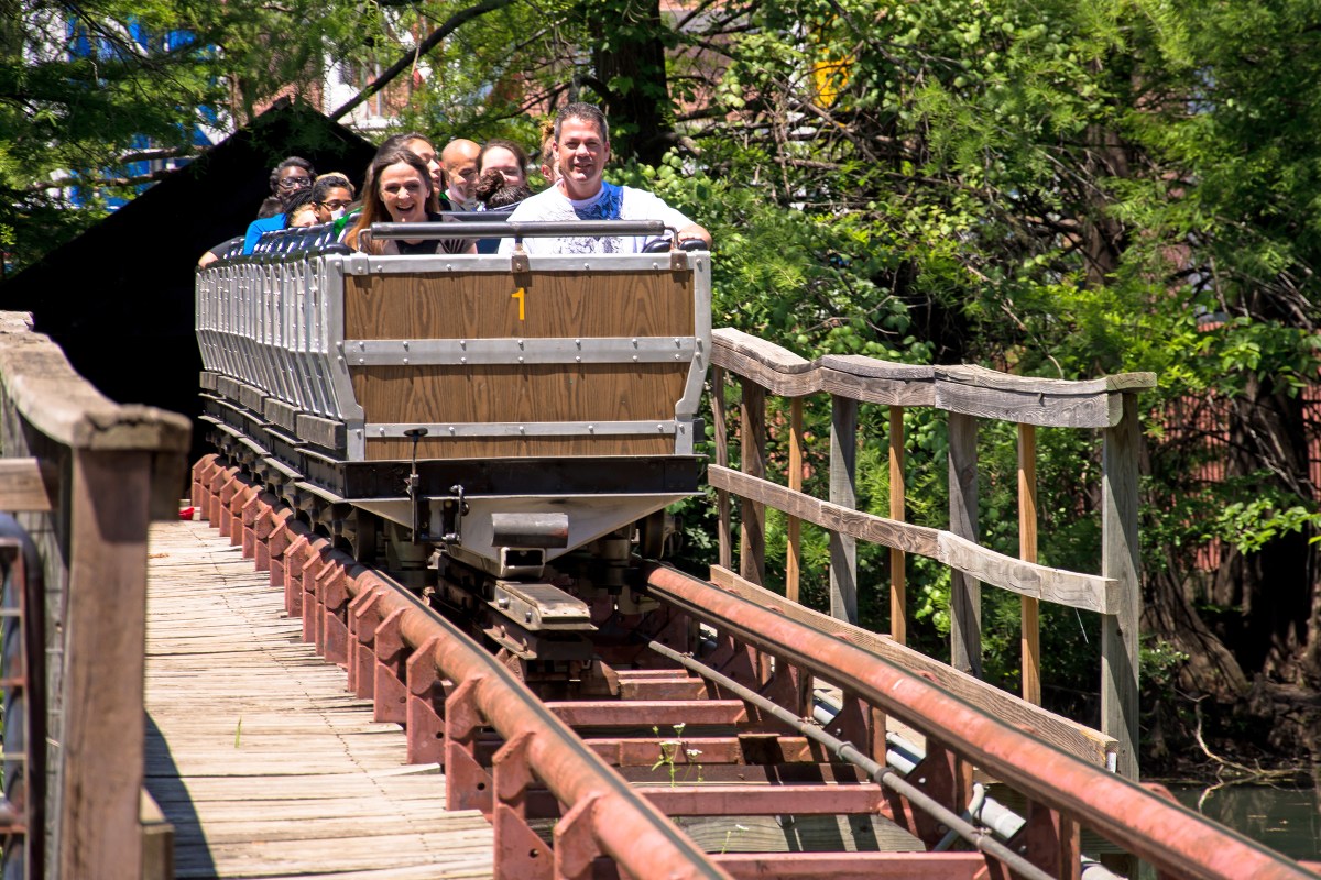 The Rollercoaster Ride of Life – Teach What is Good