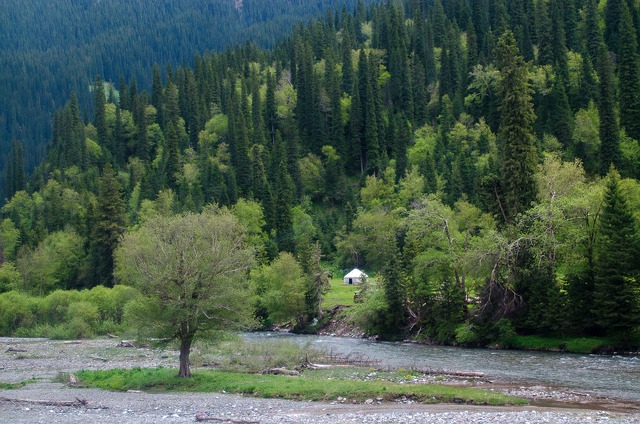Where Can the Needy Find Shelter? Thoughts from Judges 19 – Teach What ...