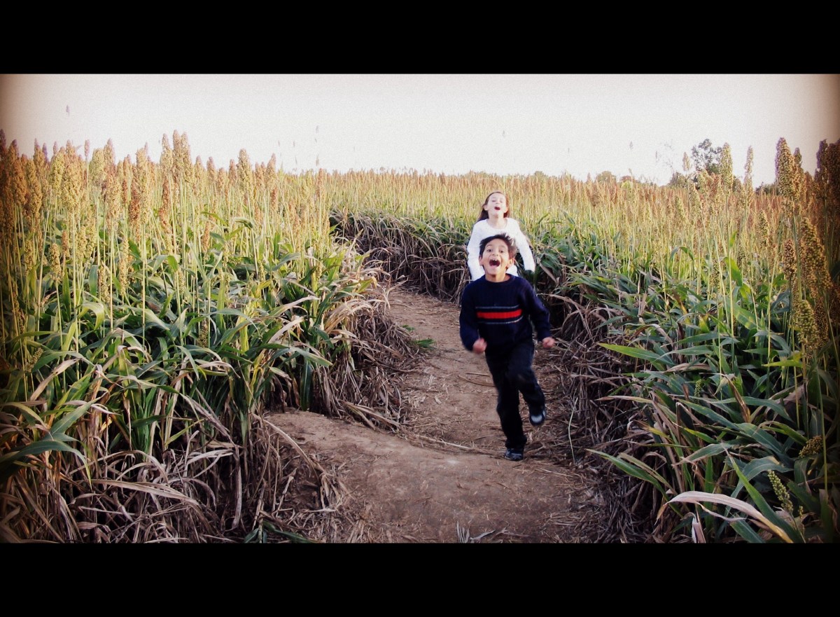 One Wrong Turn Leads to Another: Thoughts on the Story of David and ...